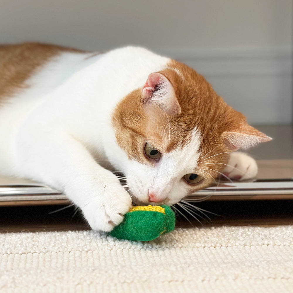 Cat Toy – Cotton and Corn